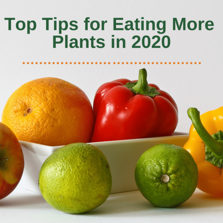 Your fool proof guide to eating more plants in 2020 - Meatless Monday
