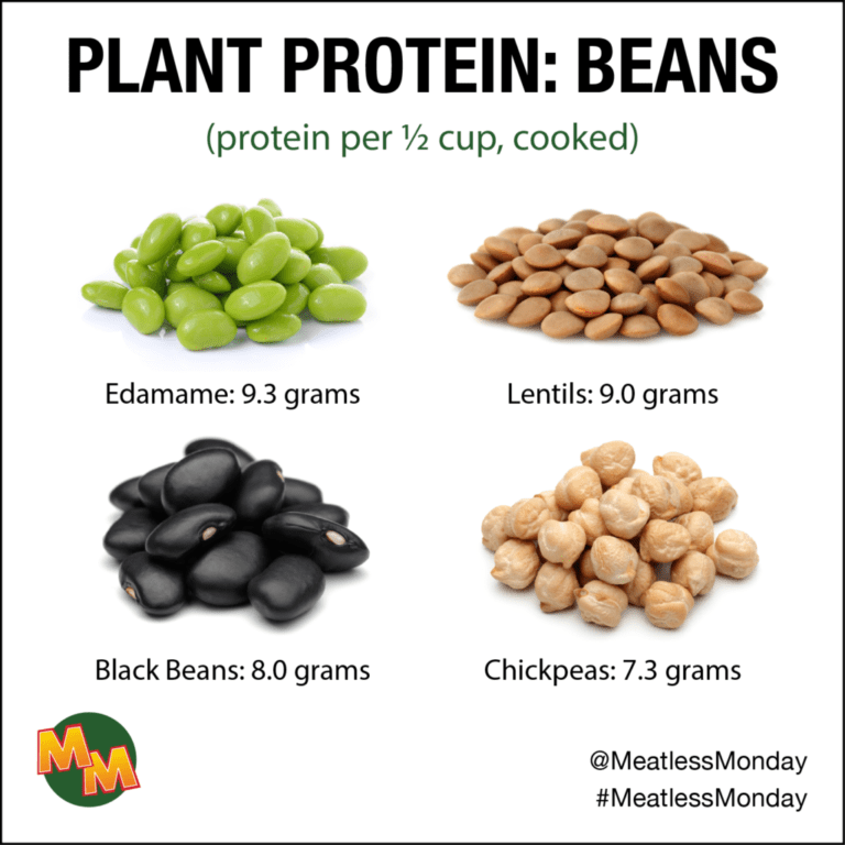 Pile on the Protein with These 10 Plant-Based Foods - Meatless Monday